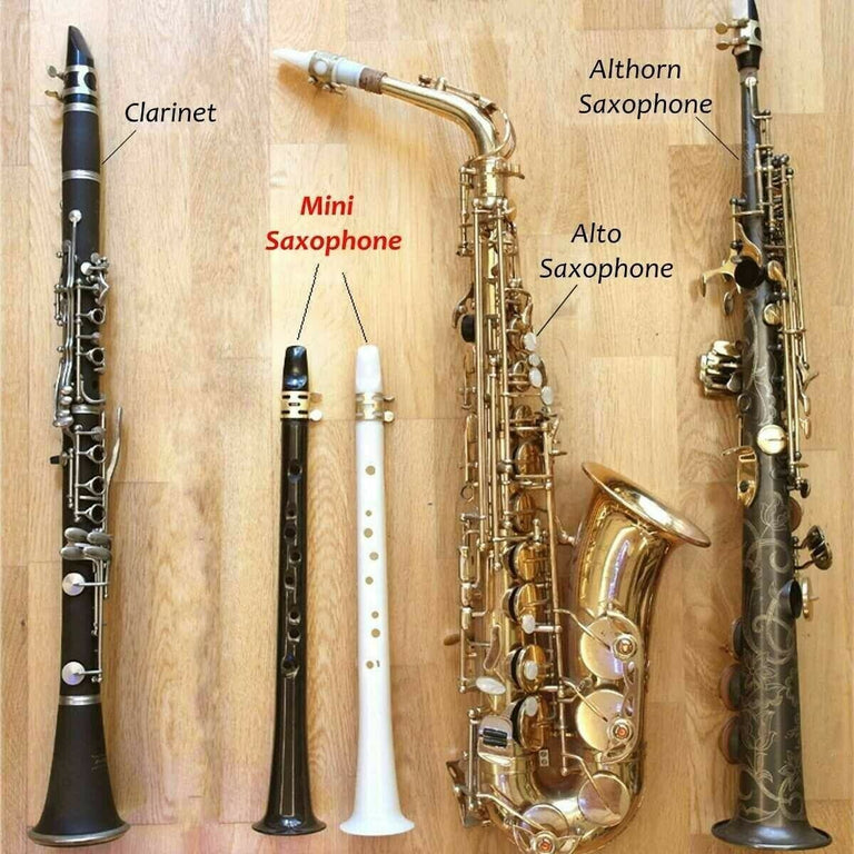 Key of C Two Octave Range Pocket Travel Saxphone – lionclay