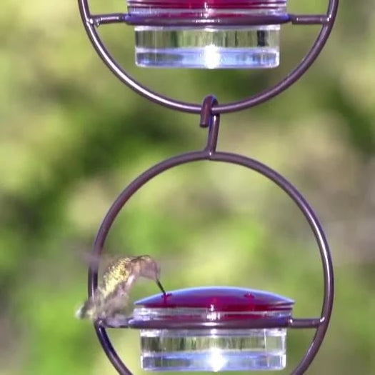🎉Hummble Slim Hummingbird Feeder – lionclay