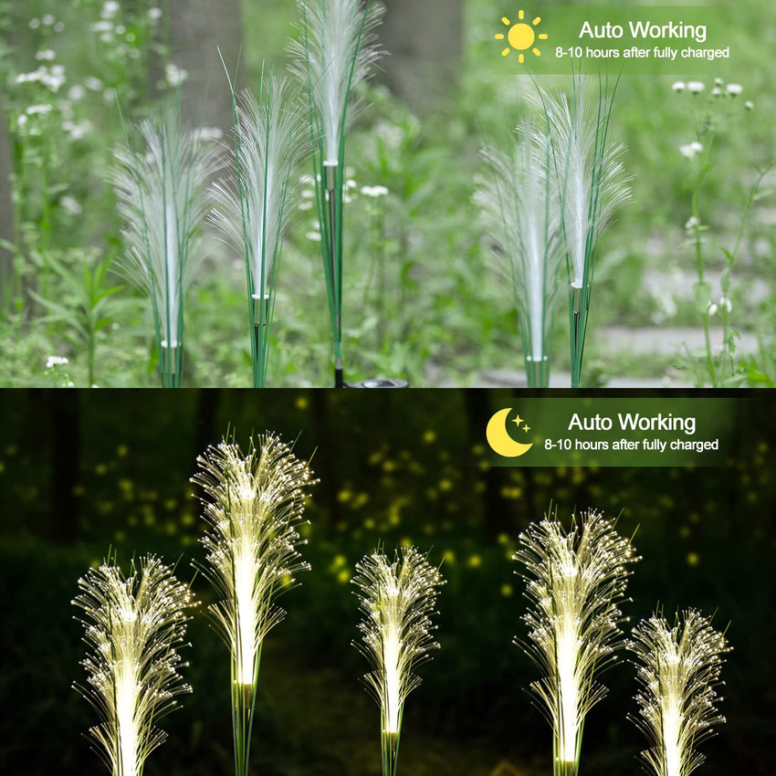 🔥Optical Fiber Solar Powered Light – lionclay