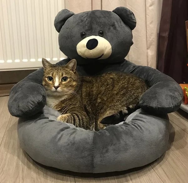 Teddy Bear Cuddler Cat Bed Dog Bed – lionclay
