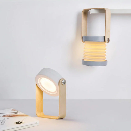 Folding LED Reading Lamp – lionclay