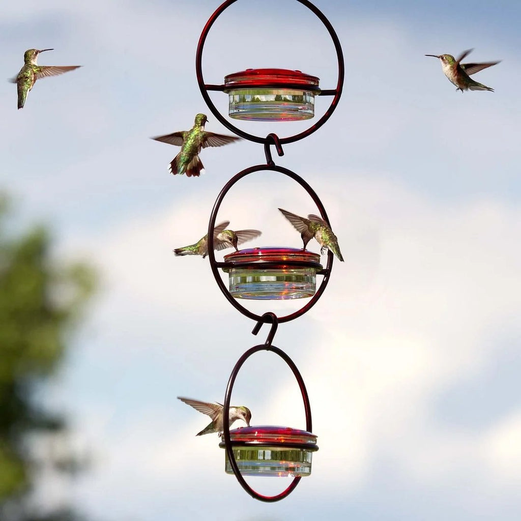 🎉Hummble Slim Hummingbird Feeder – lionclay
