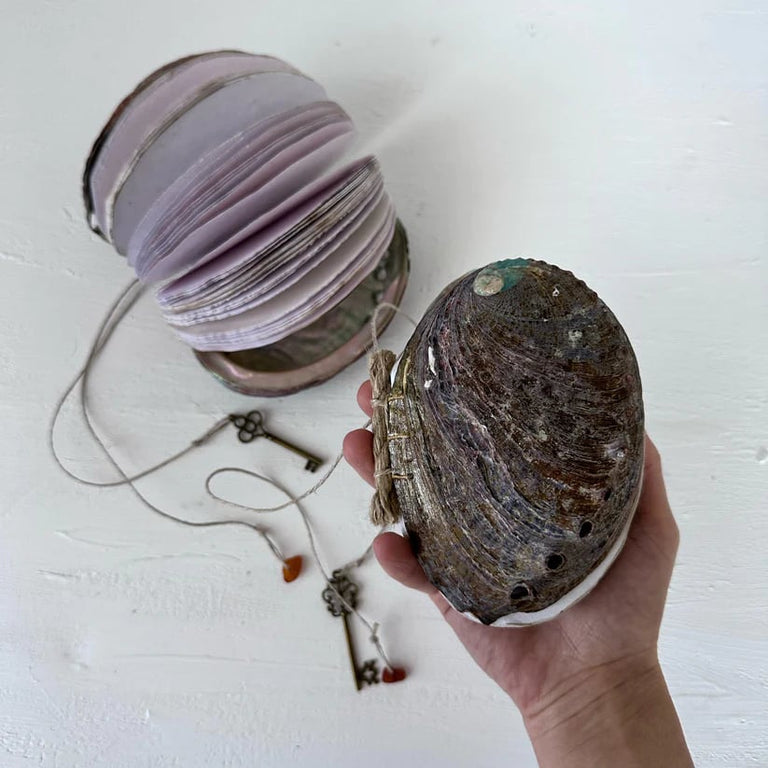 Abalone shell/Lion’s Paw shell/Scallop Shell journal – lionclay
