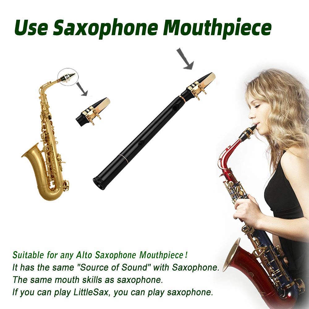 Key of C Two Octave Range Pocket Travel Saxphone – lionclay